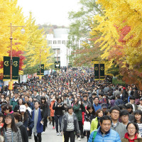 Университет Сонгюнгван (Sungkyunkwan University, SKKU) | Обучение в ...