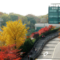 Университет Сонгюнгван (Sungkyunkwan University, SKKU) | Обучение в ...